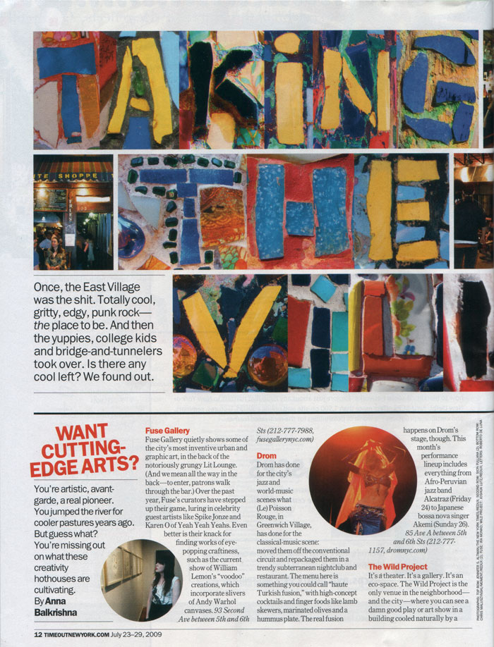 Time Out New York review - wild project