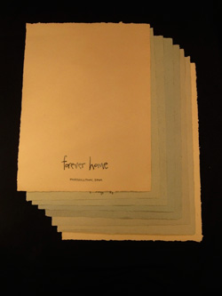 Drew Cameron’s Combat Paper Project - wild project