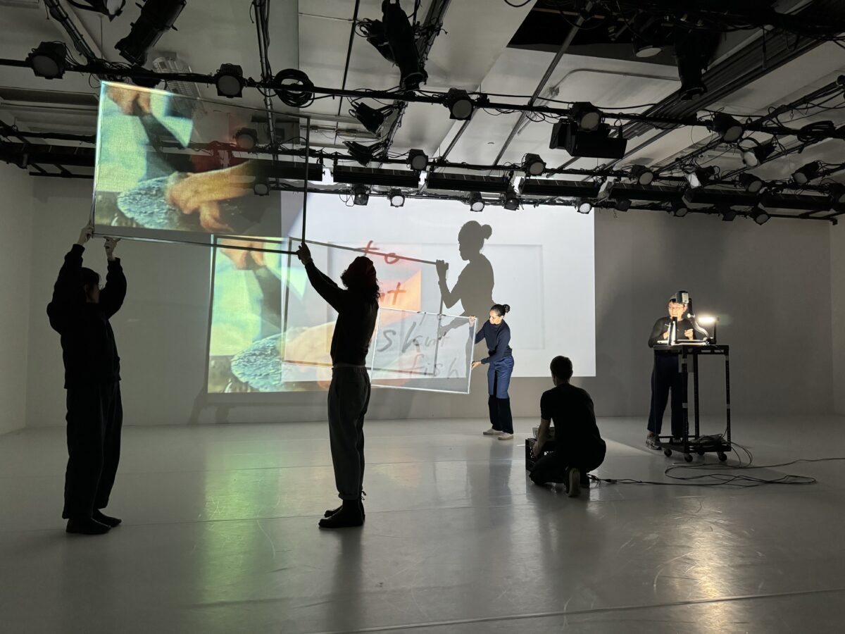 Special Effects Festival 2024 - wild project